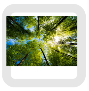 Strange behavior when Border have an ImageBrush as background · Issue ...