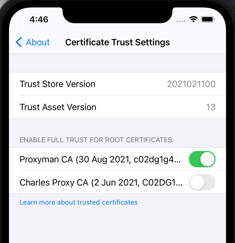 iOS Simulators Setup Revert Back to Unsetup State · Issue #973 · ProxymanApp/Proxyman · GitHub