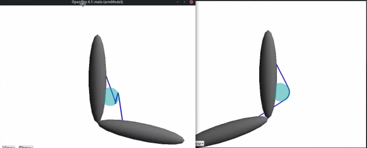 Muscle Wrapping With Multithreading · Issue #2677 · opensim-org/opensim-core · GitHub