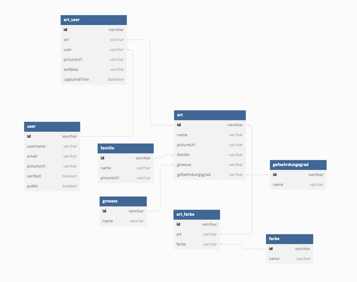 DB Scheme possible with Pocketbase? · pocketbase pocketbase · Discussion #1997 · GitHub