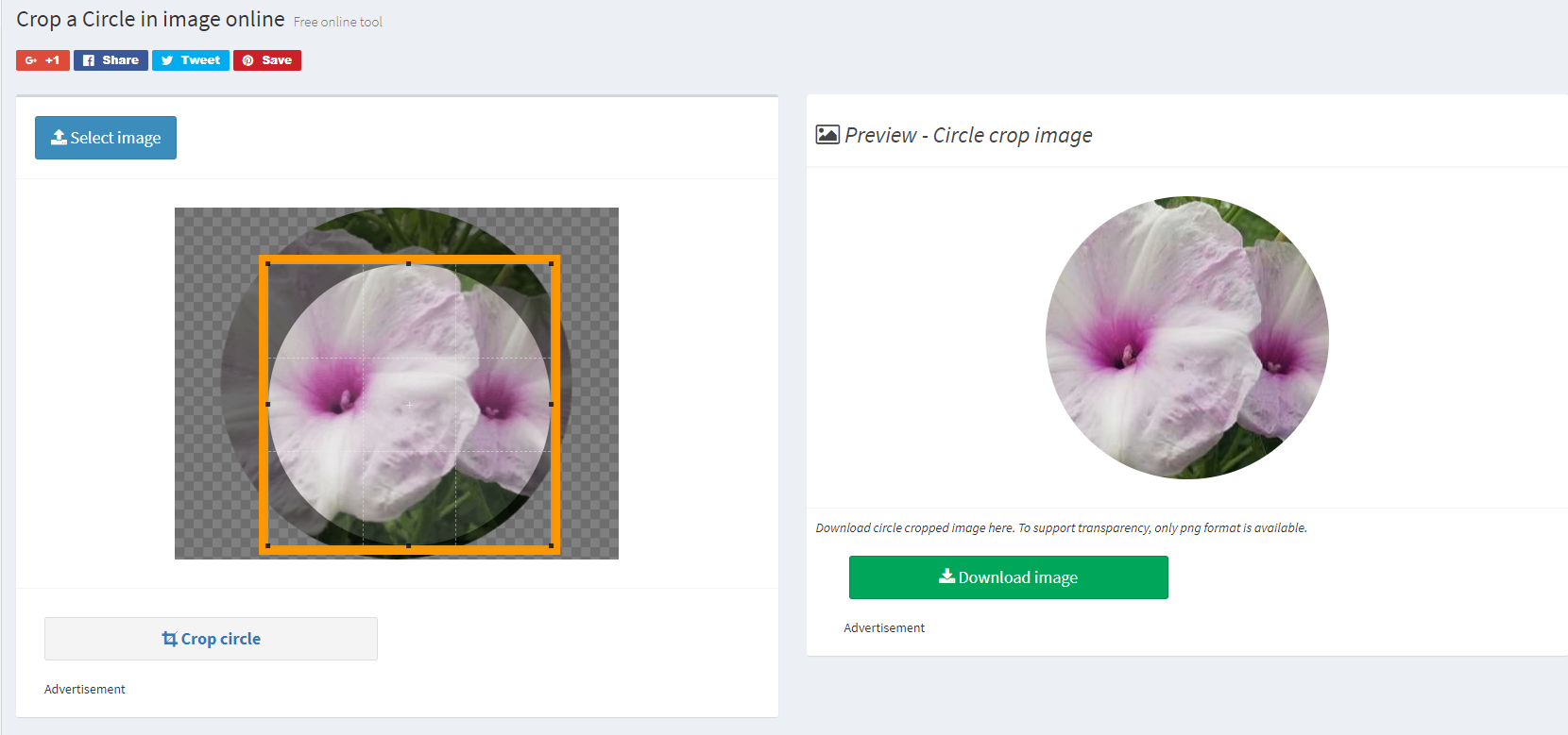 Round or Circle Image Crop With Cropperjs · Issue #802 · fengyuanchen/cropperjs · GitHub