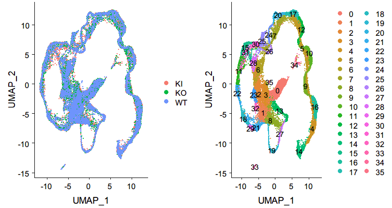 Sometimes UMAP reduction is mixed together and tSNE is more reasonable ...