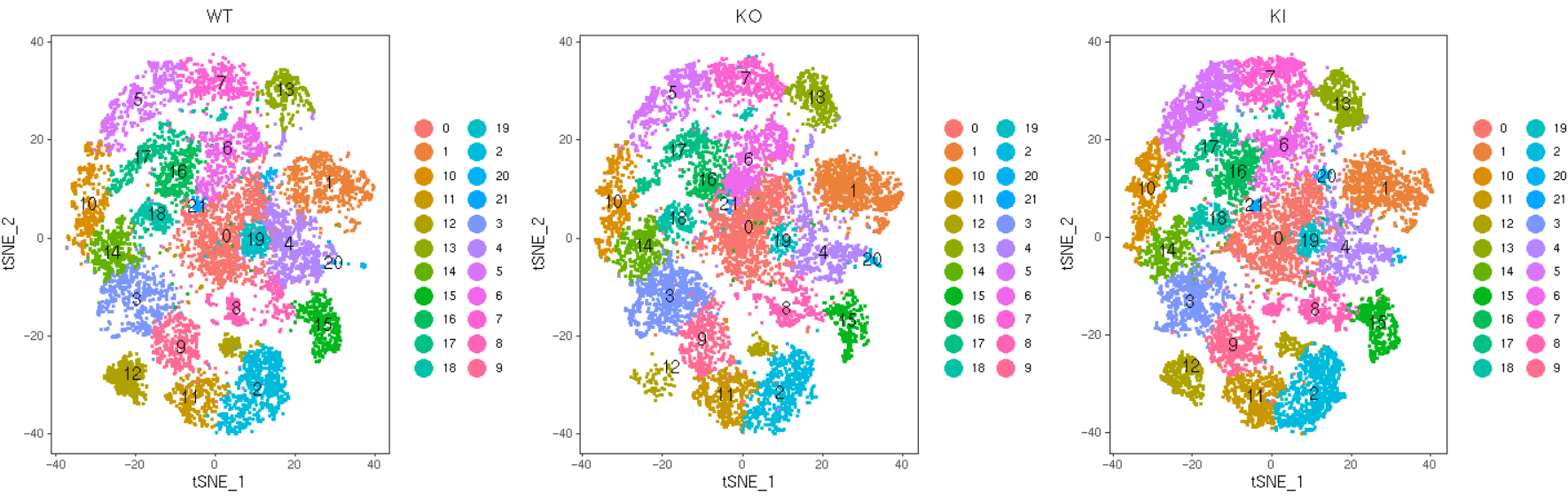 How to improve the result of tSNE and UMAP? · Issue #2053 · satijalab ...