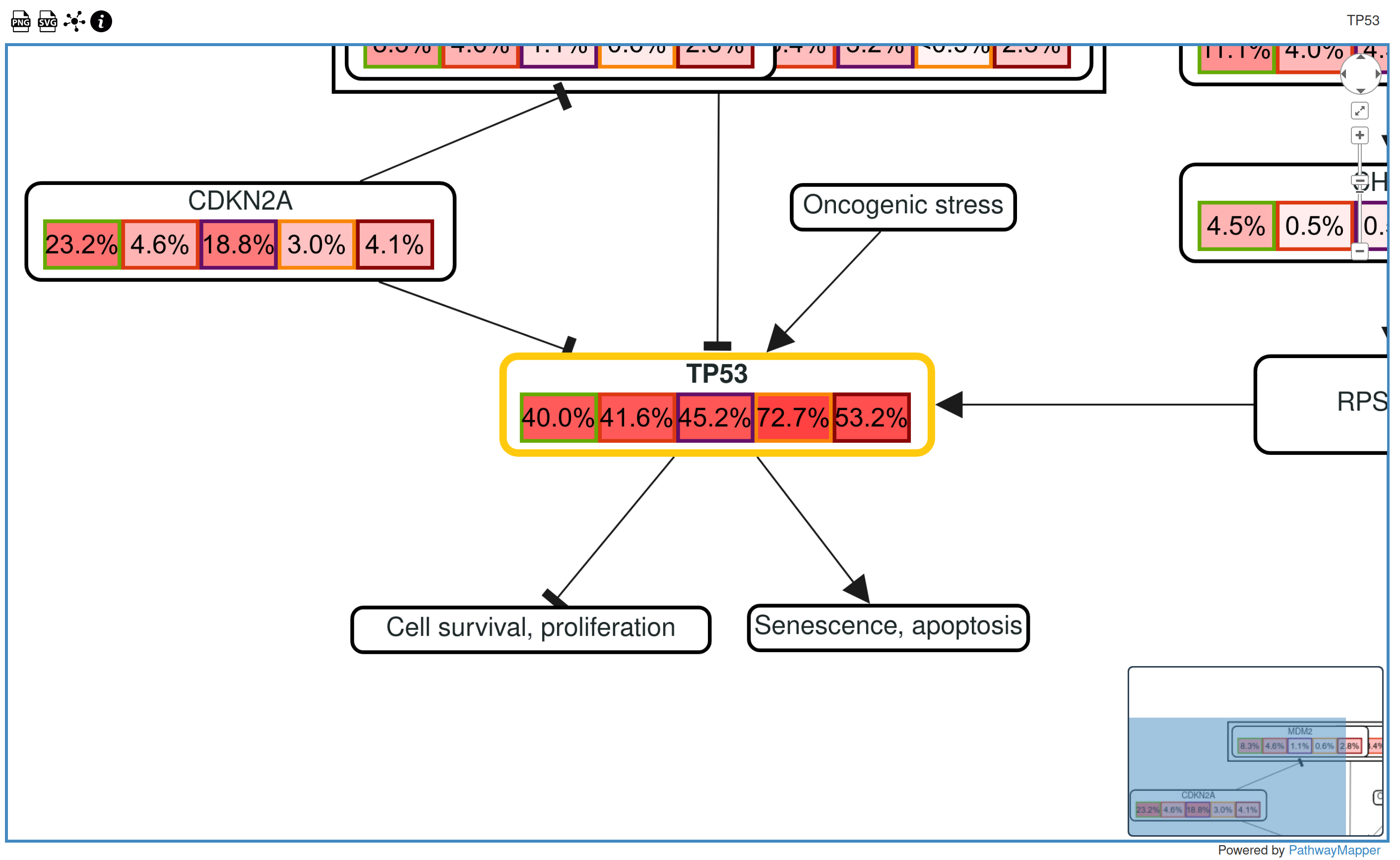 Group Comparison Pathway Mapper followup issues · Issue #9937 · cBioPortal/cbioportal · GitHub