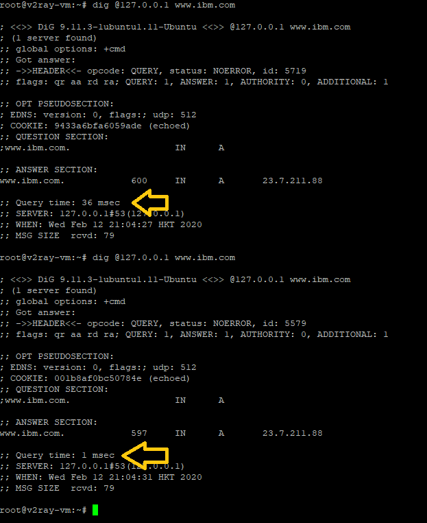 [feature request] 增加 Fake IP / Fake DNS 功能 · Issue #2233 · v2ray/v2ray-core · GitHub