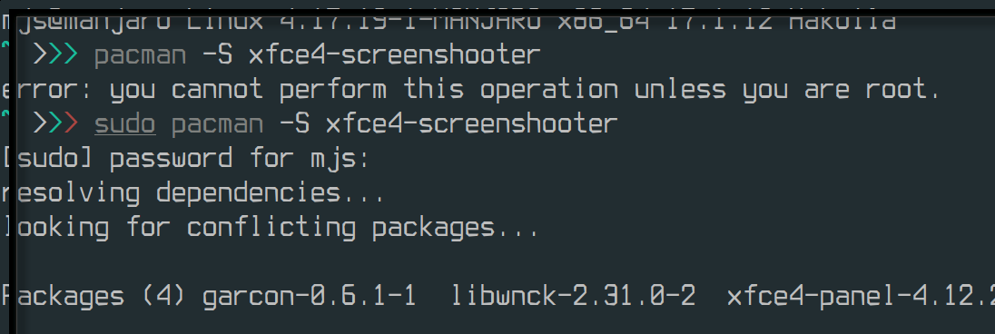 X11 Client Black Border around remoteapp window that appears on all workspaces · Issue #4846 ...