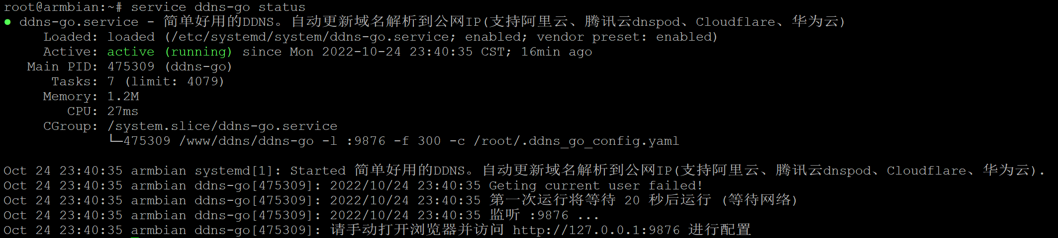 在Armbian安装后无法通过http://127.0.0.1:9876/访问 · Issue #417 · jeessy2/ddns-go · GitHub