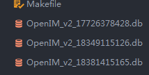 这几个.db文件是用来干什么的 · Issue #193 · openimsdk/open-im-server · GitHub