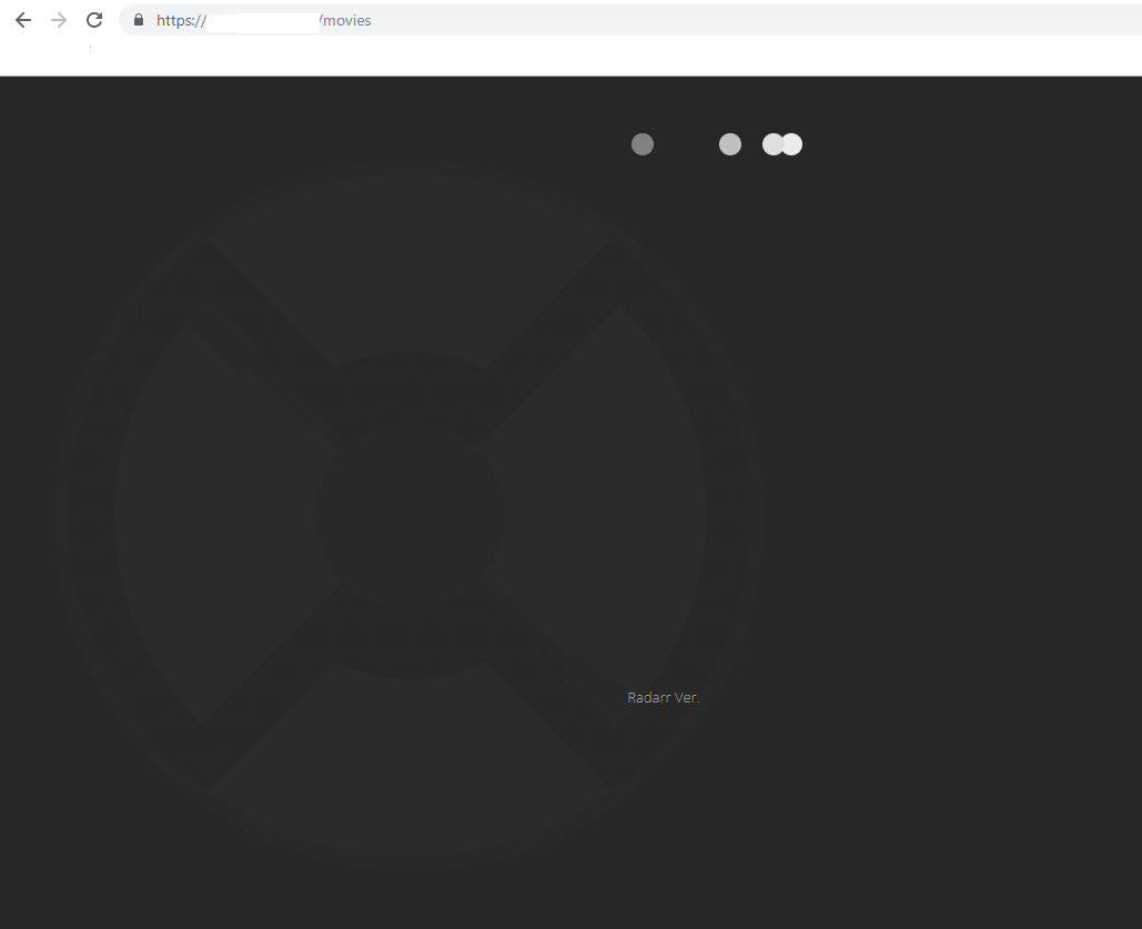 Web Ui Not Loading Even After Reinstall · Issue 3523 · Radarrradarr · Github 