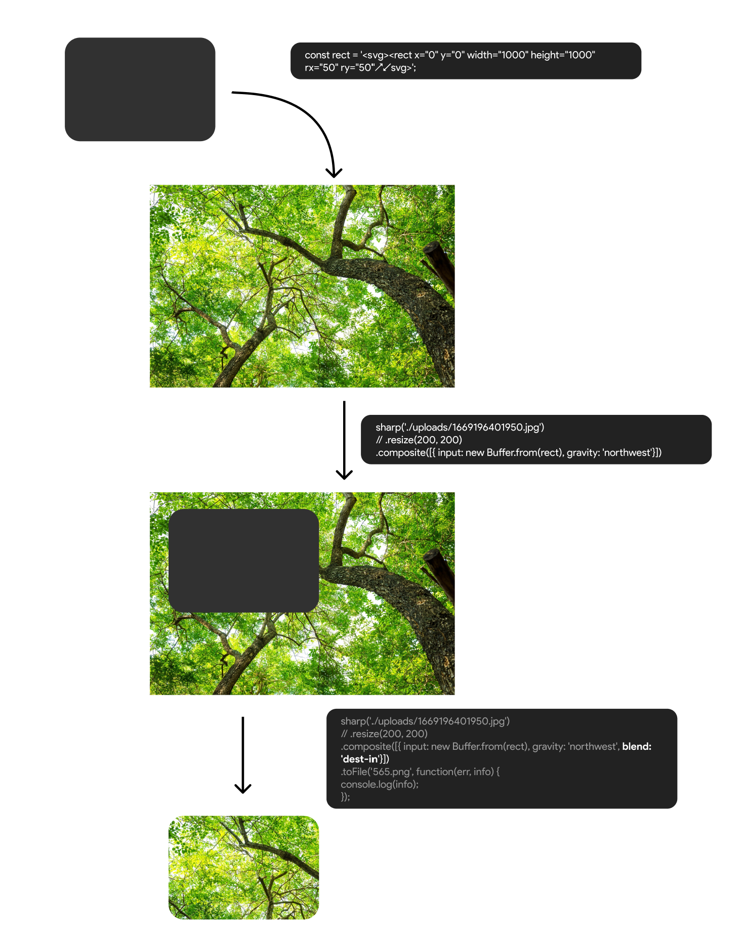 How to create rounded edges for my images · Issue #3467 · lovell/sharp · GitHub