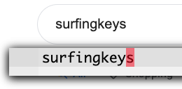 Input editor insert mode style · Issue #1254 · brookhong/Surfingkeys · GitHub