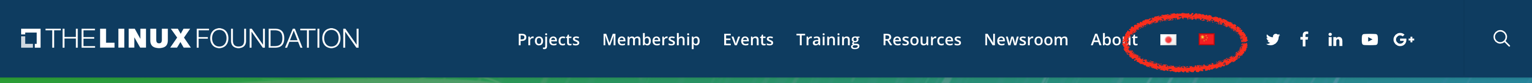 Language switching should follow LF norm or otherwise be easier to recognize · Issue #72 ...