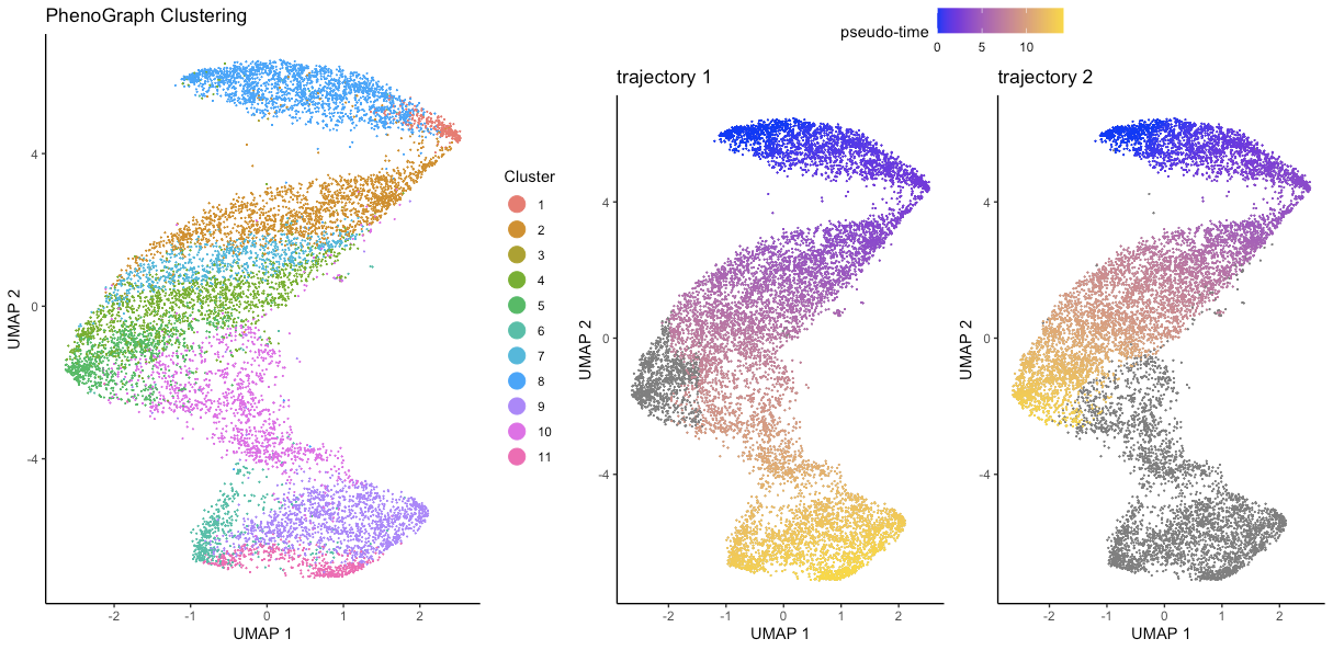 Clustering on UMAP for Slingshot · Issue #83 · kstreet13/slingshot · GitHub