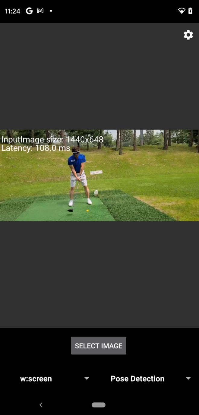 Pose detection failed in extracted video file frame but success on the live view from that video ...
