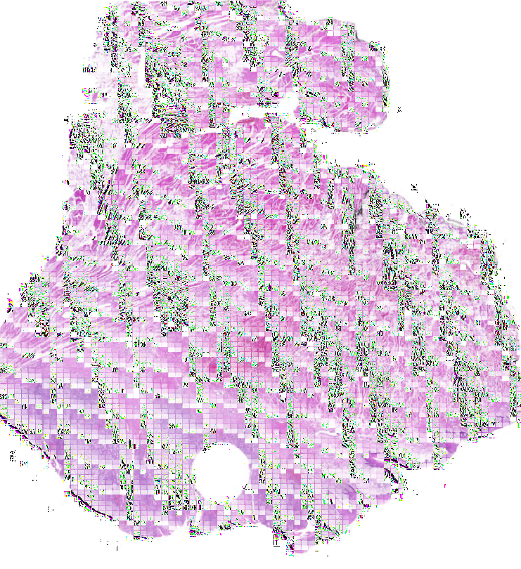 openslide_read_region black-ish boxes for large regions · Issue #291 · openslide/openslide · GitHub