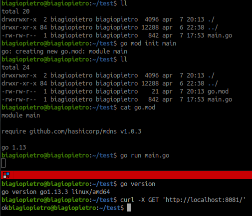 multicast_dns 0.2.0 not detecting mDNS packets · Issue #79772 · flutter/flutter · GitHub