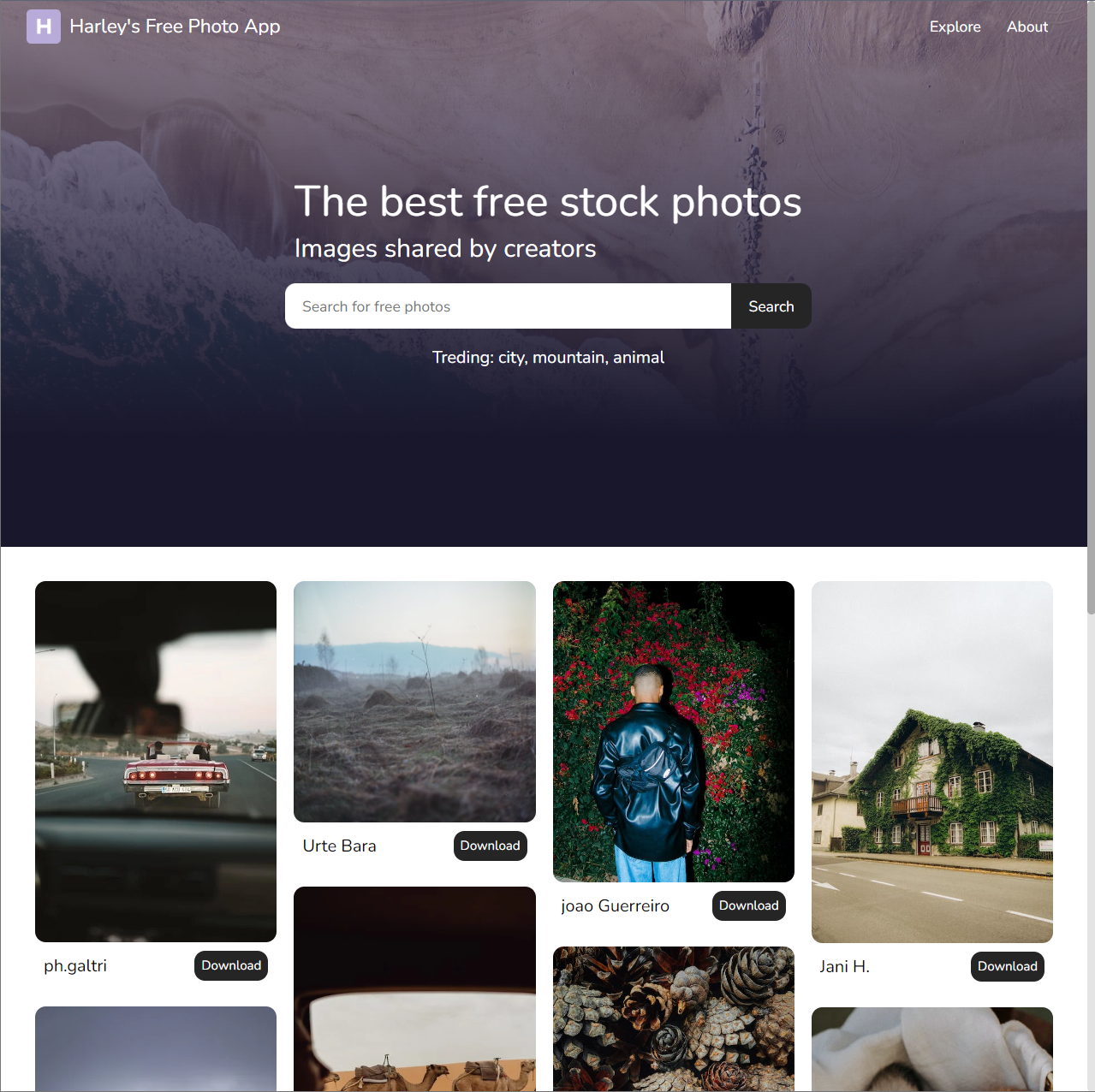 GitHub - brookhaven13/search-free-photo-app: A free photo web app using React