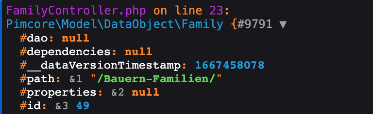 Bug Paramconverter Returns An Empty Object · Issue 13510 · Pimcorepimcore · Github