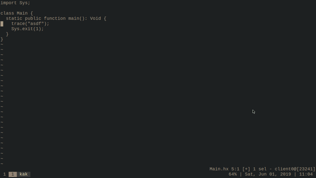 Haxe Lsp Completions Not Showing Up · Issue 206 · Kakoune Lspkakoune Lsp · Github