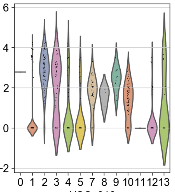 Color Persistence In Violin Plot Fails When Keys Not Present In All Batch Groups · Issue 589