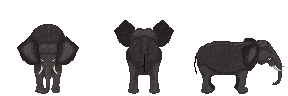 Elephant Concept · Issue #167 · arianne/stendhal · GitHub
