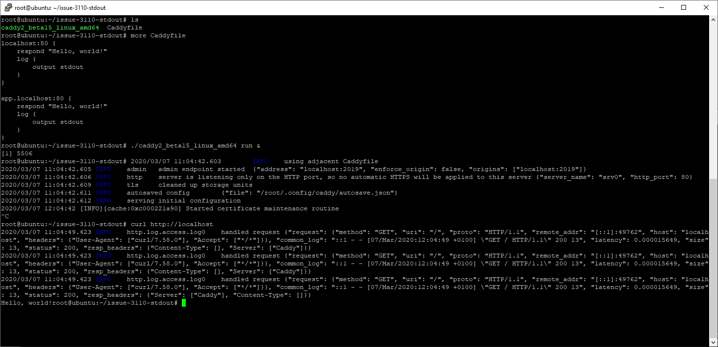 V2 Duplicate Access Log With Caddyfile · Issue 3110 · Caddyserver Caddy · Github