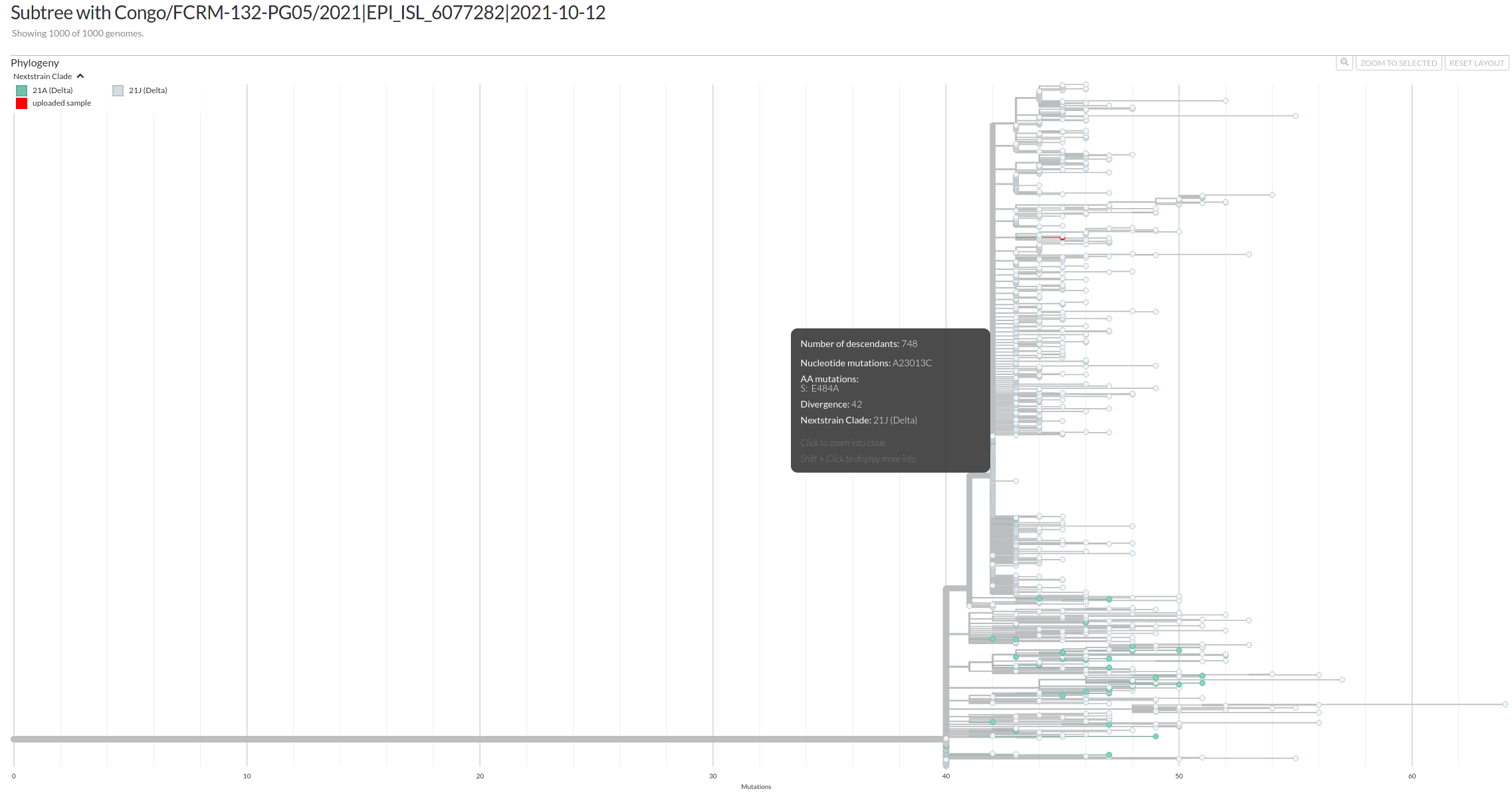 AY.122 sub-lineage with additional mutation S:E484A likely originating ...
