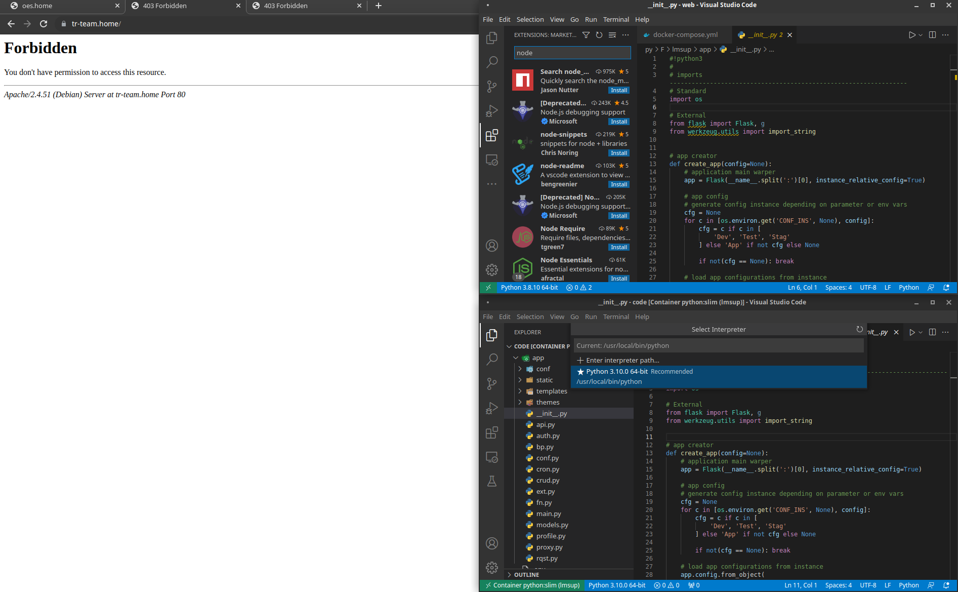 Docker + linters helper · Issue #5984 · microsoft/vscode-remote-release · GitHub