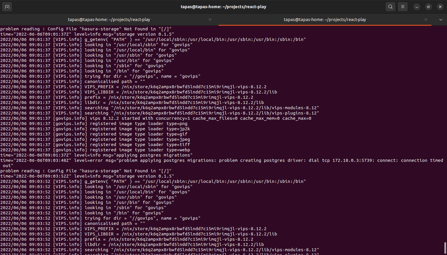 The nhost dev command fails with multiple errors · Issue #237 · nhost/cli · GitHub