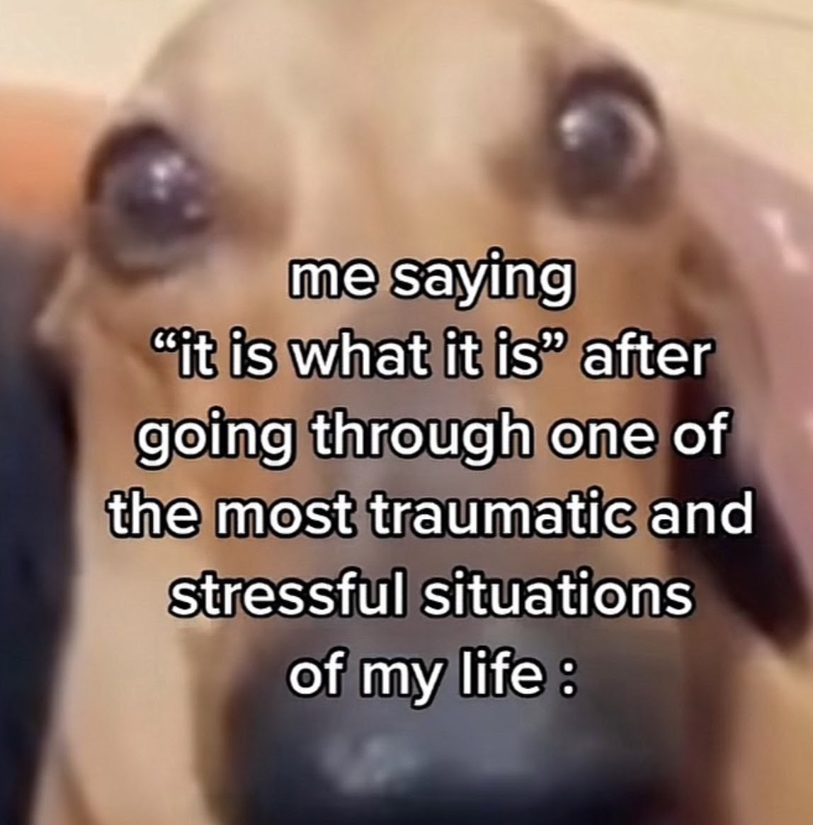 GitHub - Reptop/Hotel-DataBase-System: This is C program for a hotel database thingy