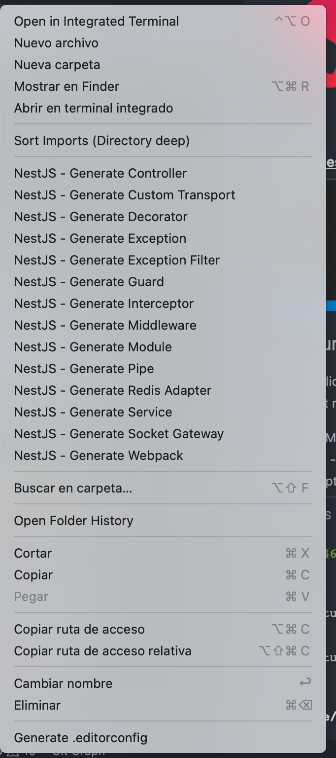 Add submenu to show nestjs files actions · Issue #12 · SpartanX1/nestjs-files · GitHub