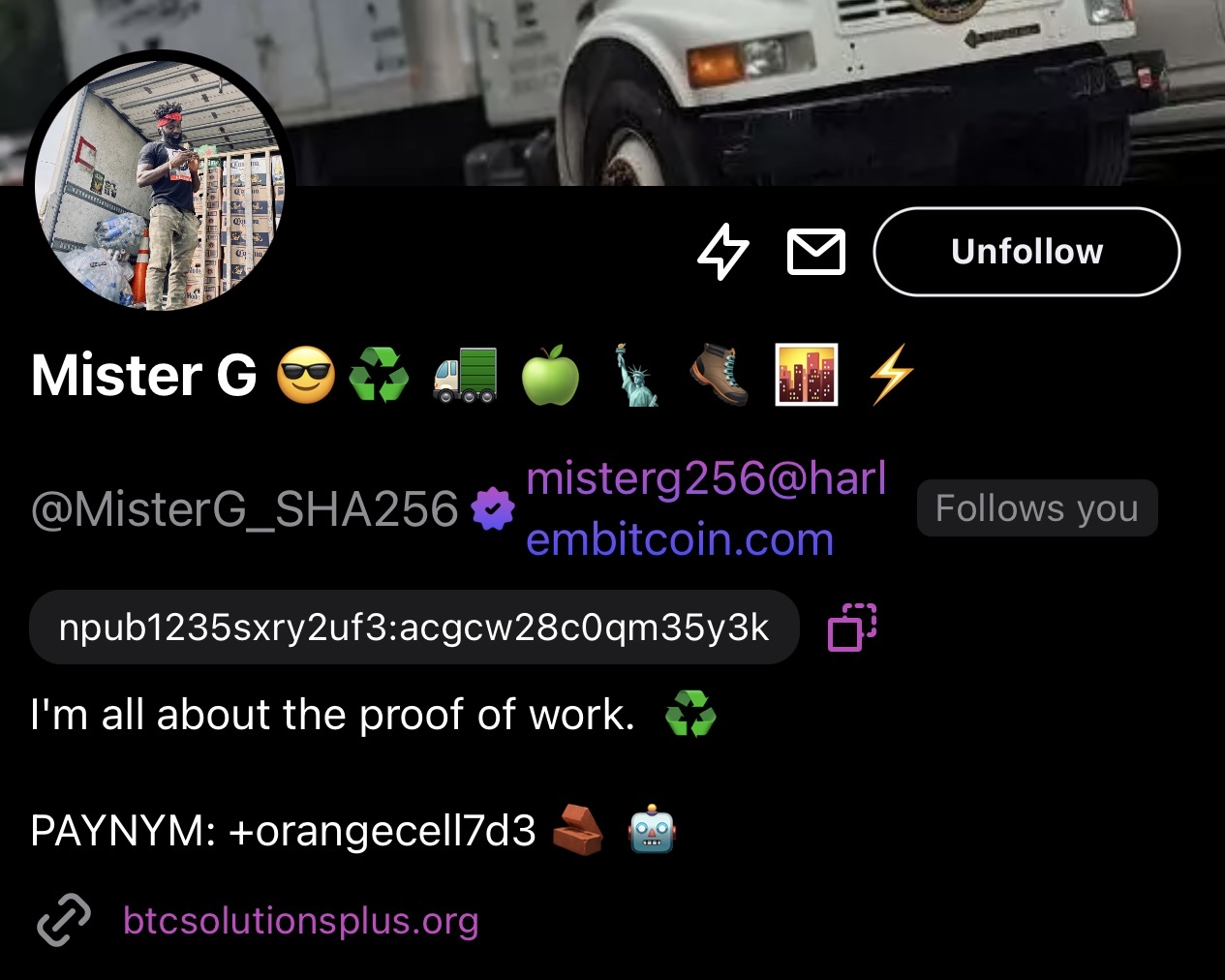 Fix user profile display for long names and NIP-05 domains · Issue #1527 · damus-io/damus · GitHub