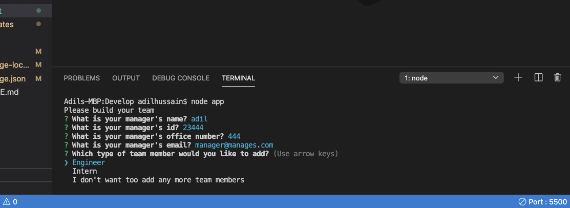 GitHub - adilh621/Employee-Summary