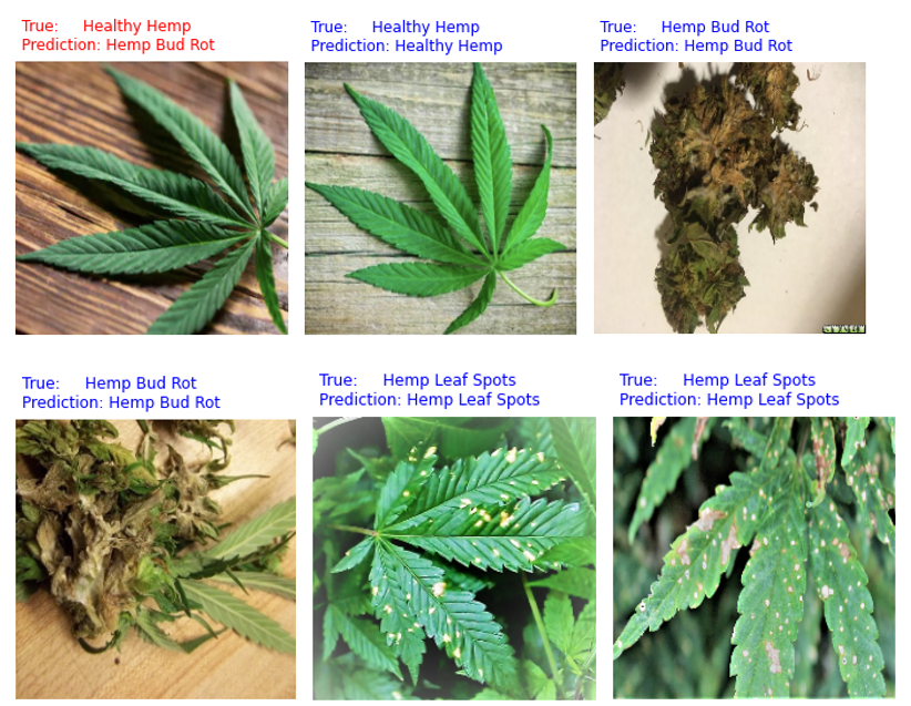 GitHub - SonamWelekar/Hemp-Disease-Detection-and-Classification-using-Machine-learning-model