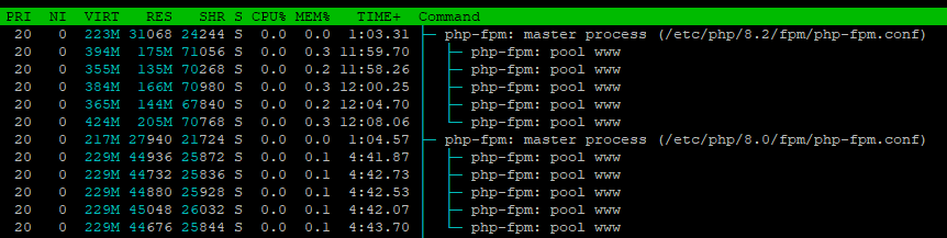 Memory leak PHP FPM 8.1 · Issue #8646 · php/php-src · GitHub