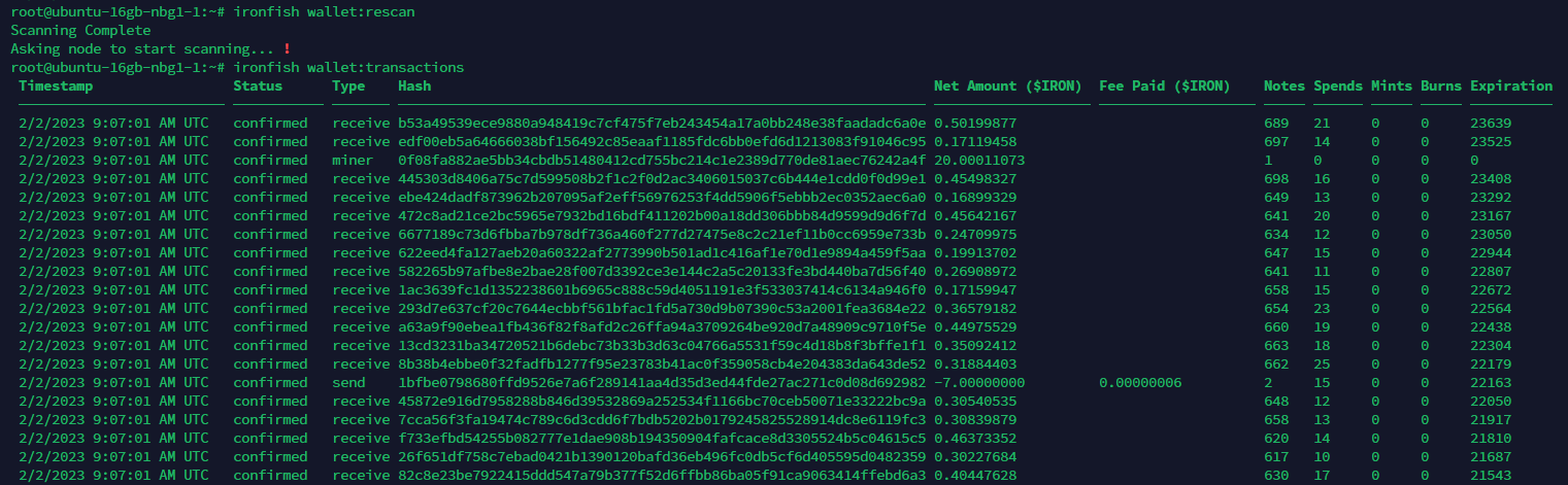 wallet:rescan · Issue #3260 · iron-fish/ironfish · GitHub