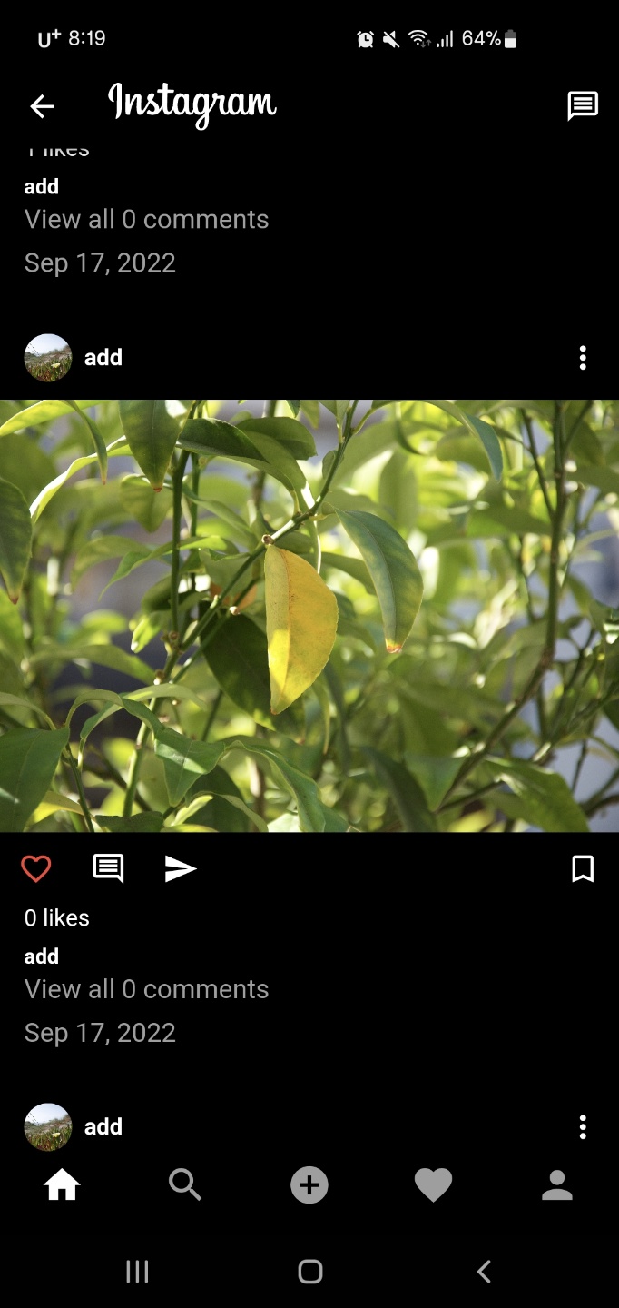 GitHub - 282-the-traveler/instagram_flutter