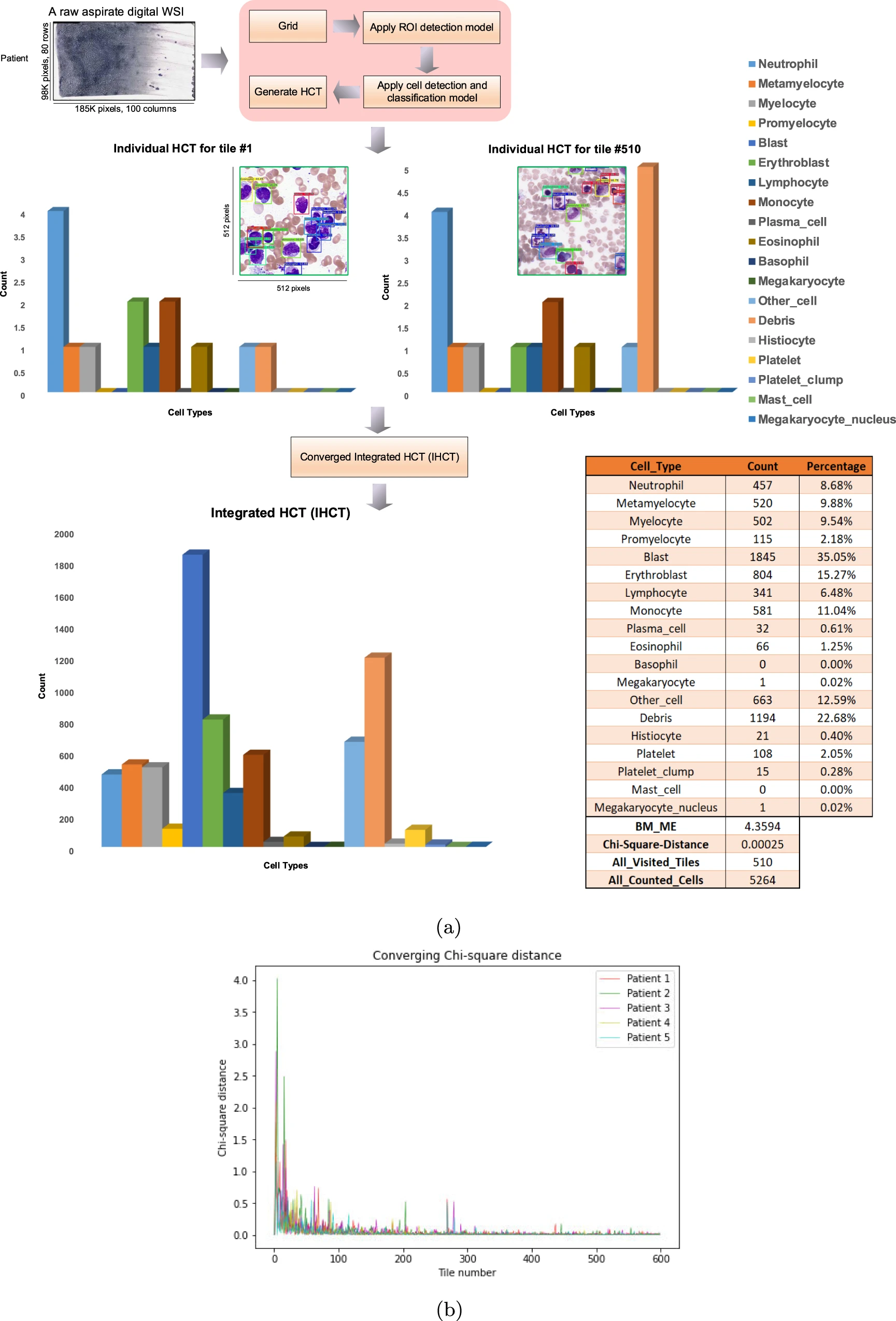 GitHub - moosavitayebi/CytologyProject: Bone marrow cytology is required to make a hematological ...