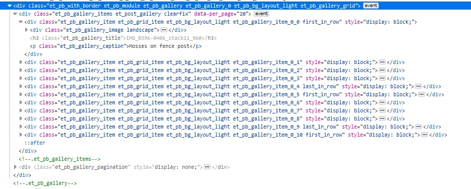 Divi: Galleries not grouping as expected / Enable default title · Issue #858 · archetyped/simple ...