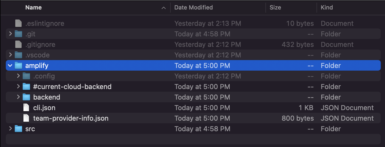 What Is The Expected Folder Structure Files From Amplify Pull · Issue 11691 · Aws Amplify