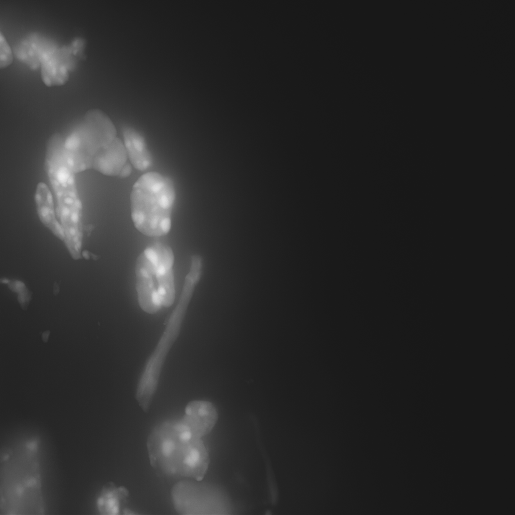 Attribute Error Version 164 · Issue 678 · Shapelyshapely · Github