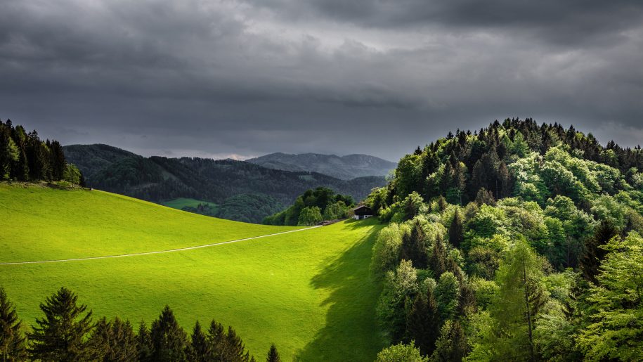 GitHub - Plaqueminier/image-compressor: Color image compressor in haskell