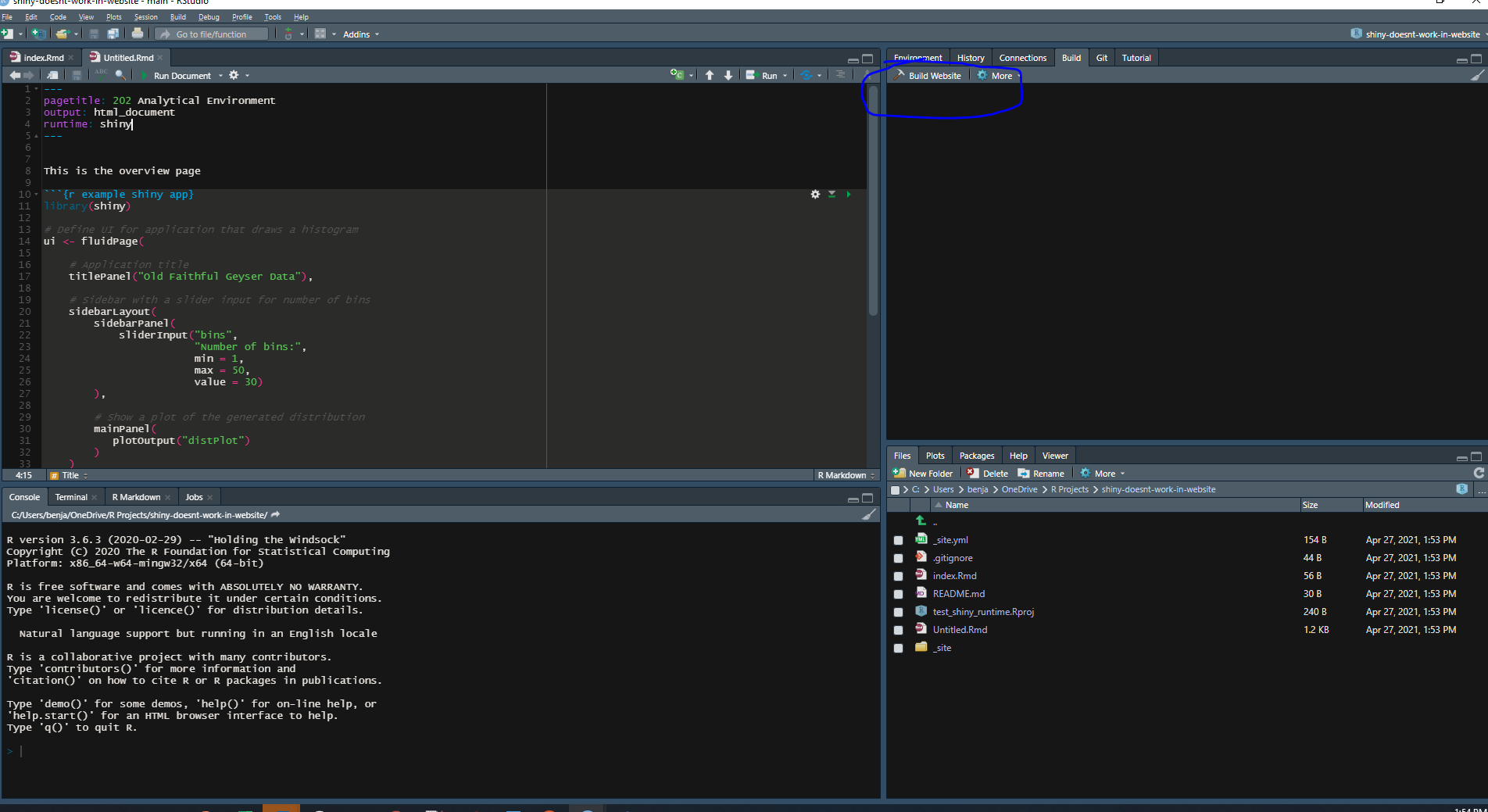HTML dependency error or blank box where shiny app should be in website ...