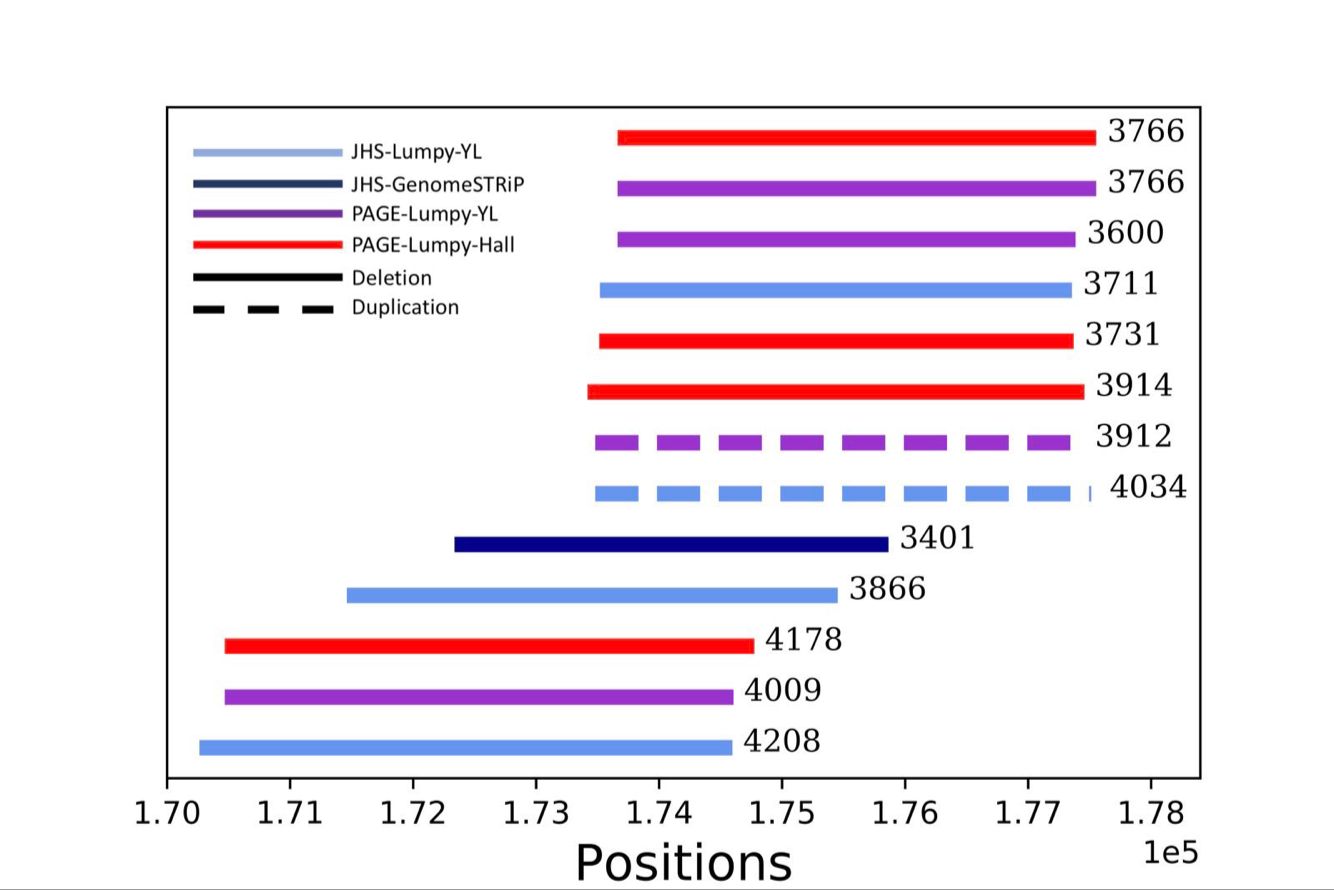 SVtype DUP · Issue #258 · hall-lab/svtools · GitHub