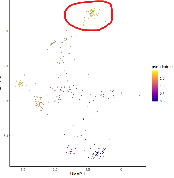 Monocle does not order cells based on all selected initial nodes · Issue #641 · cole-trapnell ...