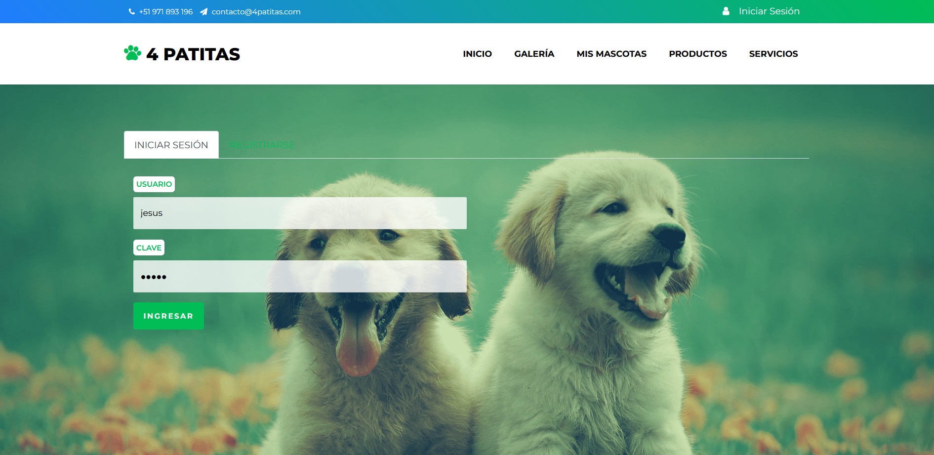 GitHub - jafr0691/mis-mascota-plantilla: Plantilla para servicio de veterinario