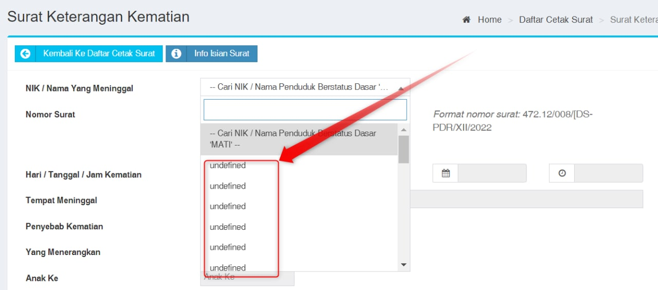 Bugerror Undefined Data Penduduk Berstatus Meninggal Saat Cetak Surat Keterangan Meninggal 