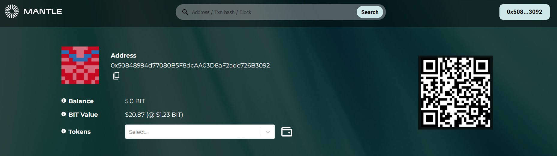 GitHub - tenggaradev/hackanton-mantle-nextjs