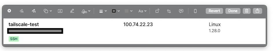 tailscale running as sidecar in docker container with SSH: I can ssh into tailscale container ...