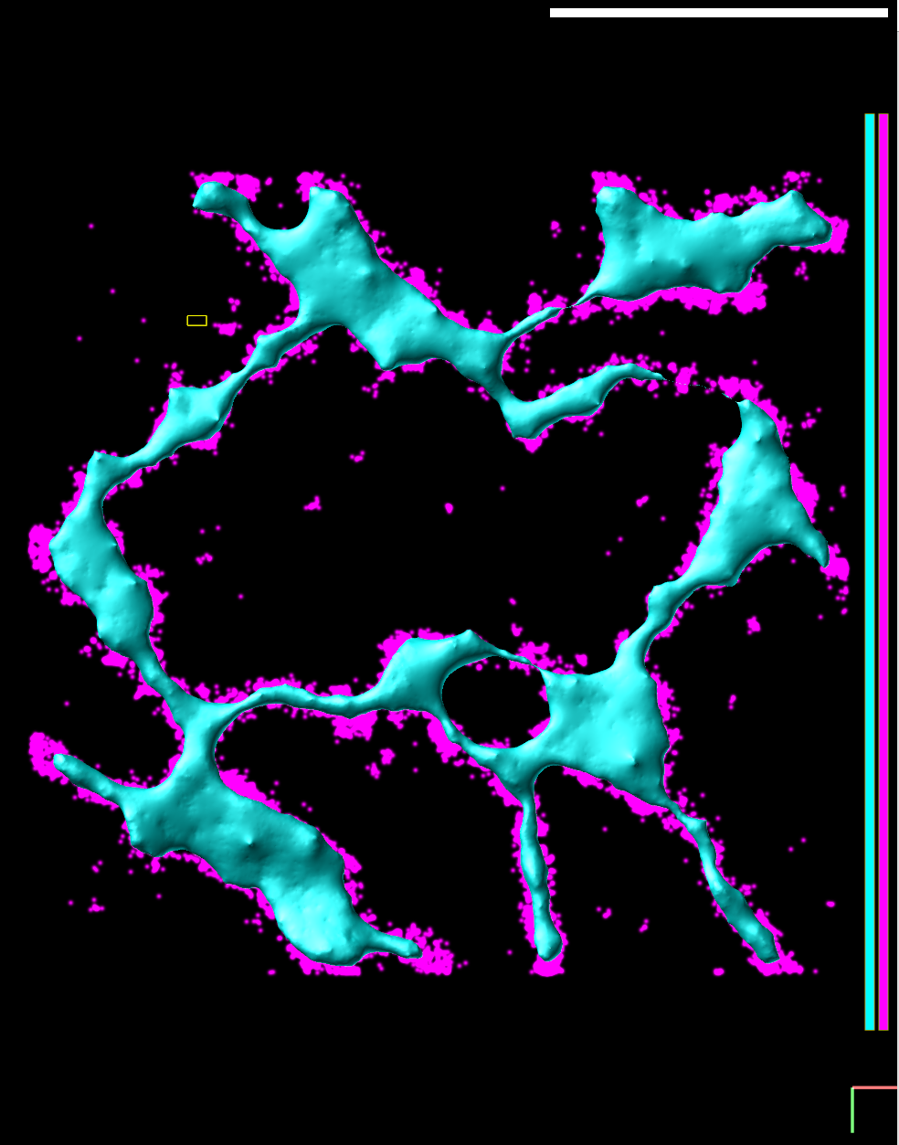 More iterations leads to small surfaces · Issue #18 · python-microscopy ...